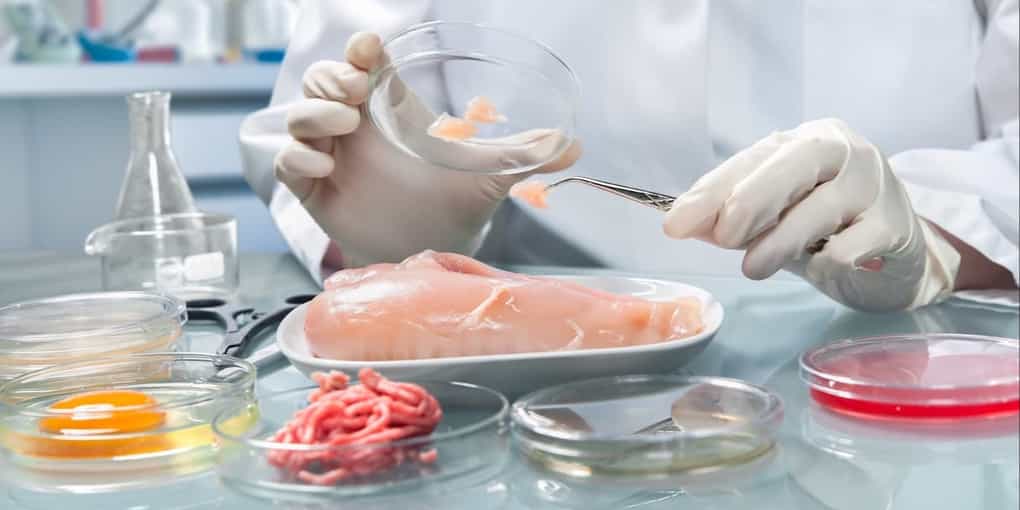 Food Safety Testing: All You Need to Know in the Food Industry