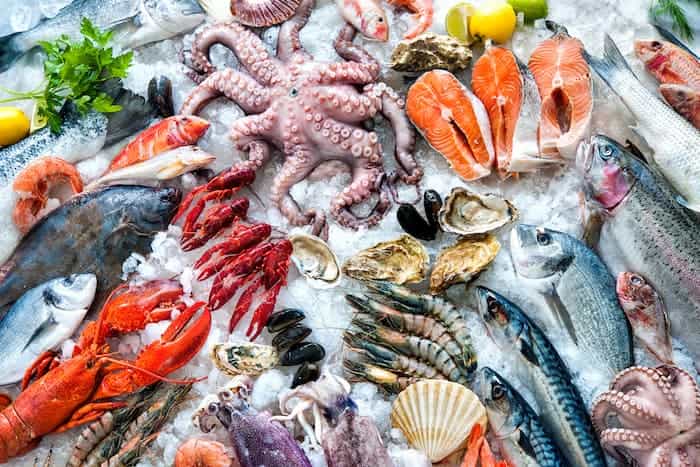 Seafood HACCP Guide: Regulations, Risks, Requirements, and More