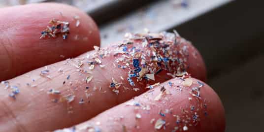 What are Three Types of Hazards That Make Food Unsafe? Biological ...