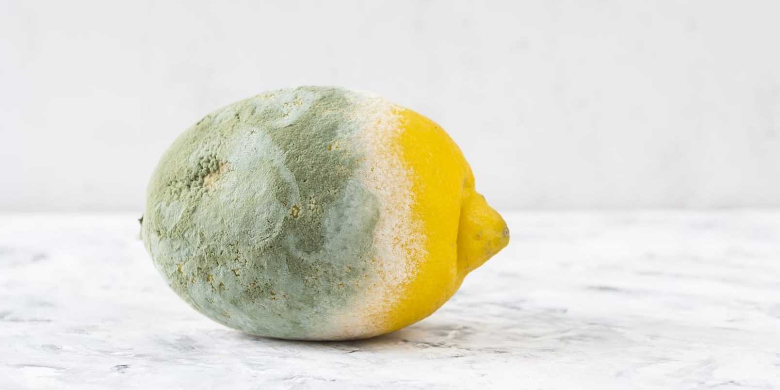 How Can a Food Handler Identify Food That Has Been Contaminated with ...