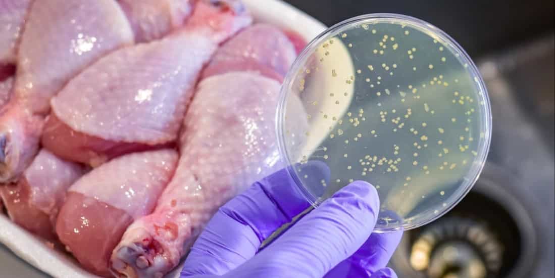 What are Three Types of Hazards That Make Food Unsafe? Biological ...