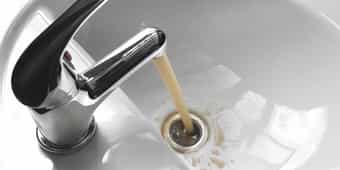 What is Biological Contamination? 5 Examples & 4 Sources of Biological ...